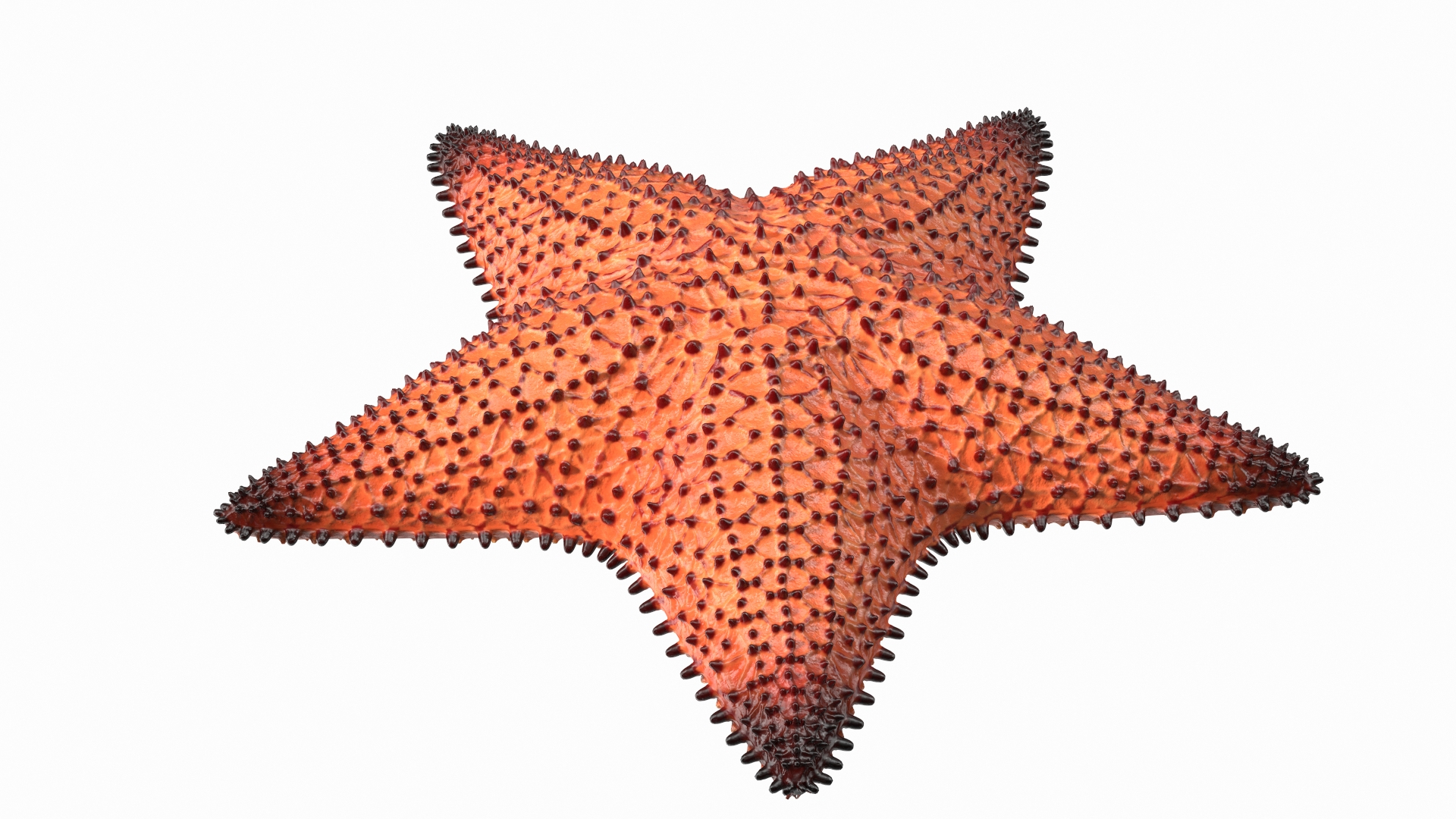 Starfish Dark 3D - TurboSquid 1848992