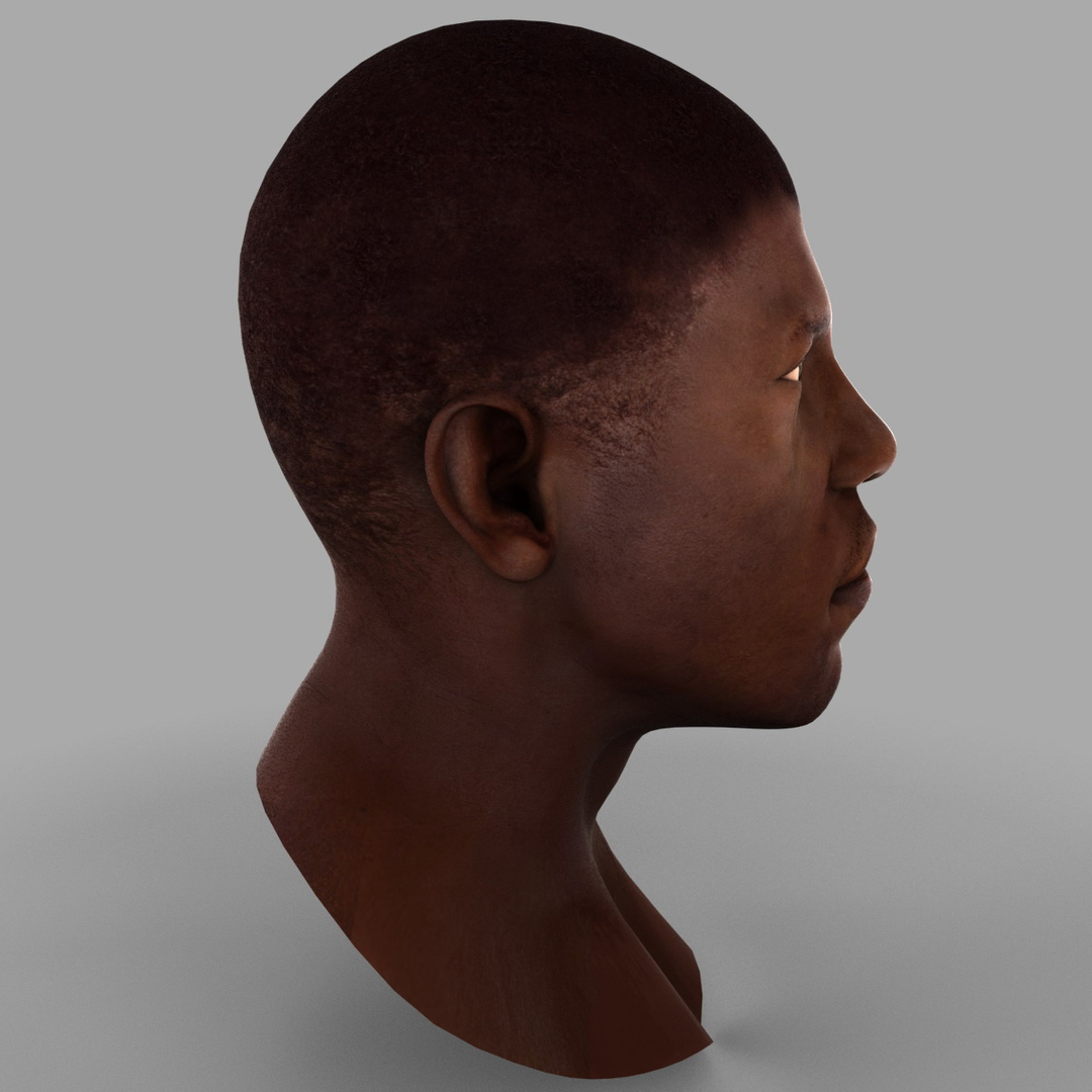 3d model black male head