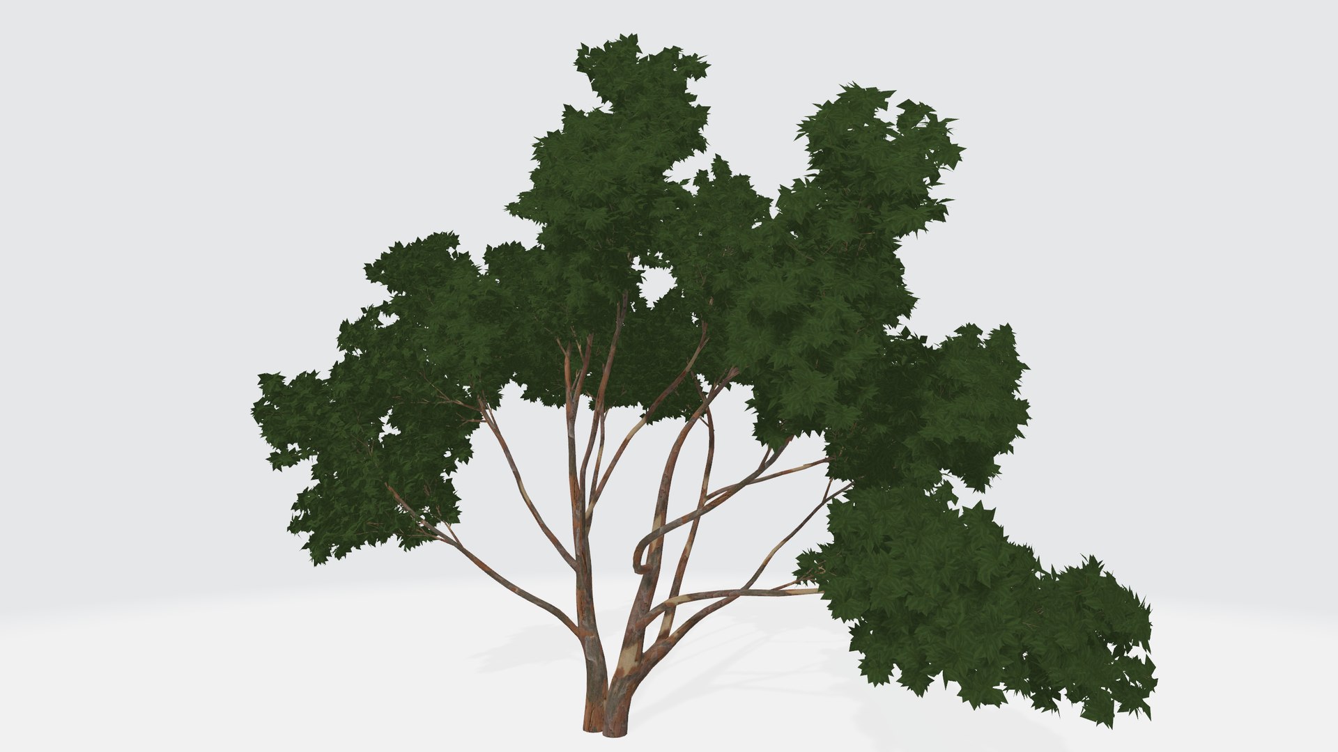 Multi-branched green tree 3D model - TurboSquid 1956123