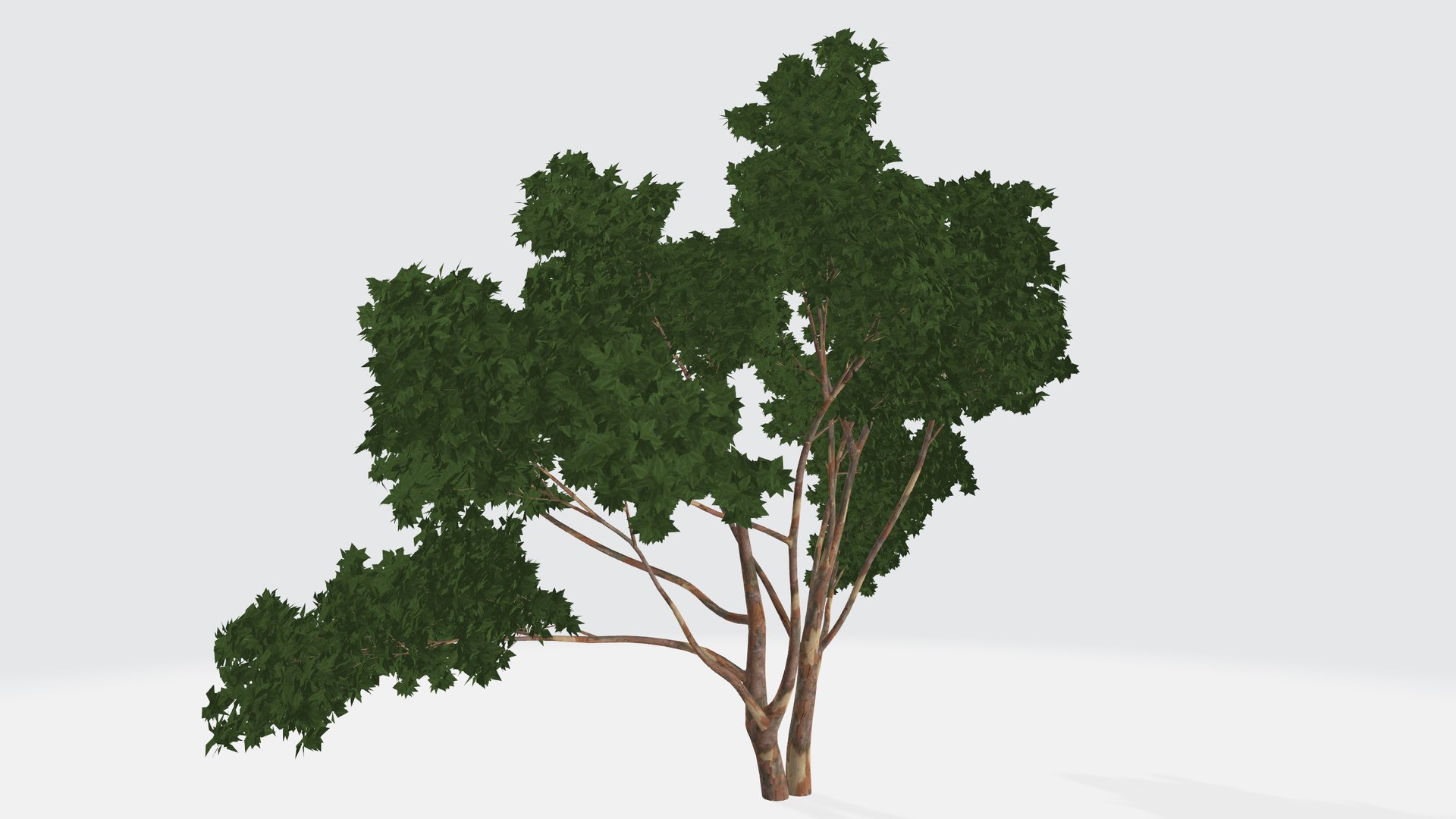 Multi-branched green tree 3D model - TurboSquid 1956123