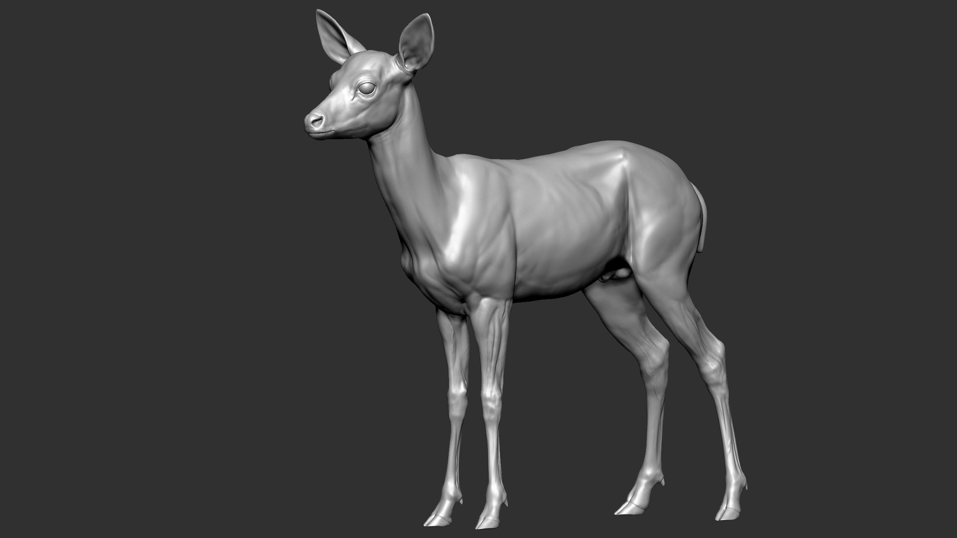3D Fawn VFX MUSCLE SIMULATION Model - TurboSquid 1886753