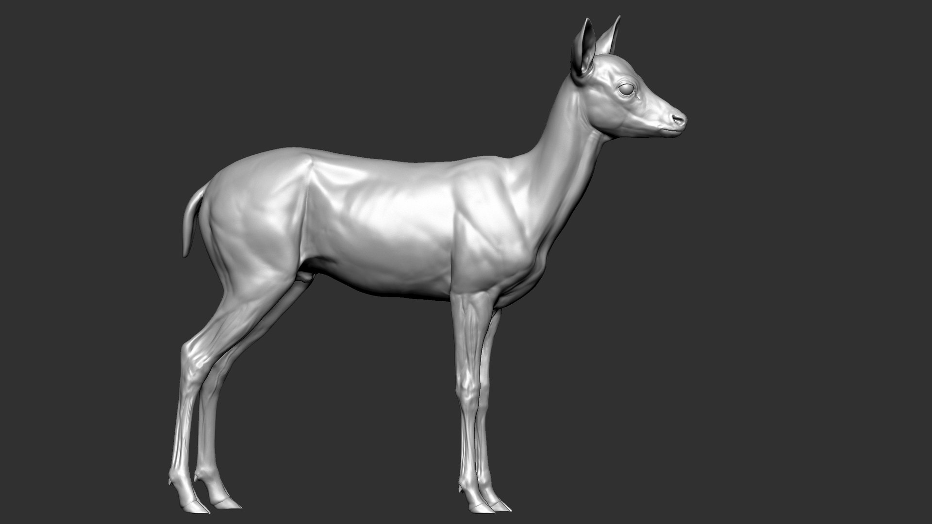 3D Fawn VFX MUSCLE SIMULATION Model - TurboSquid 1886753