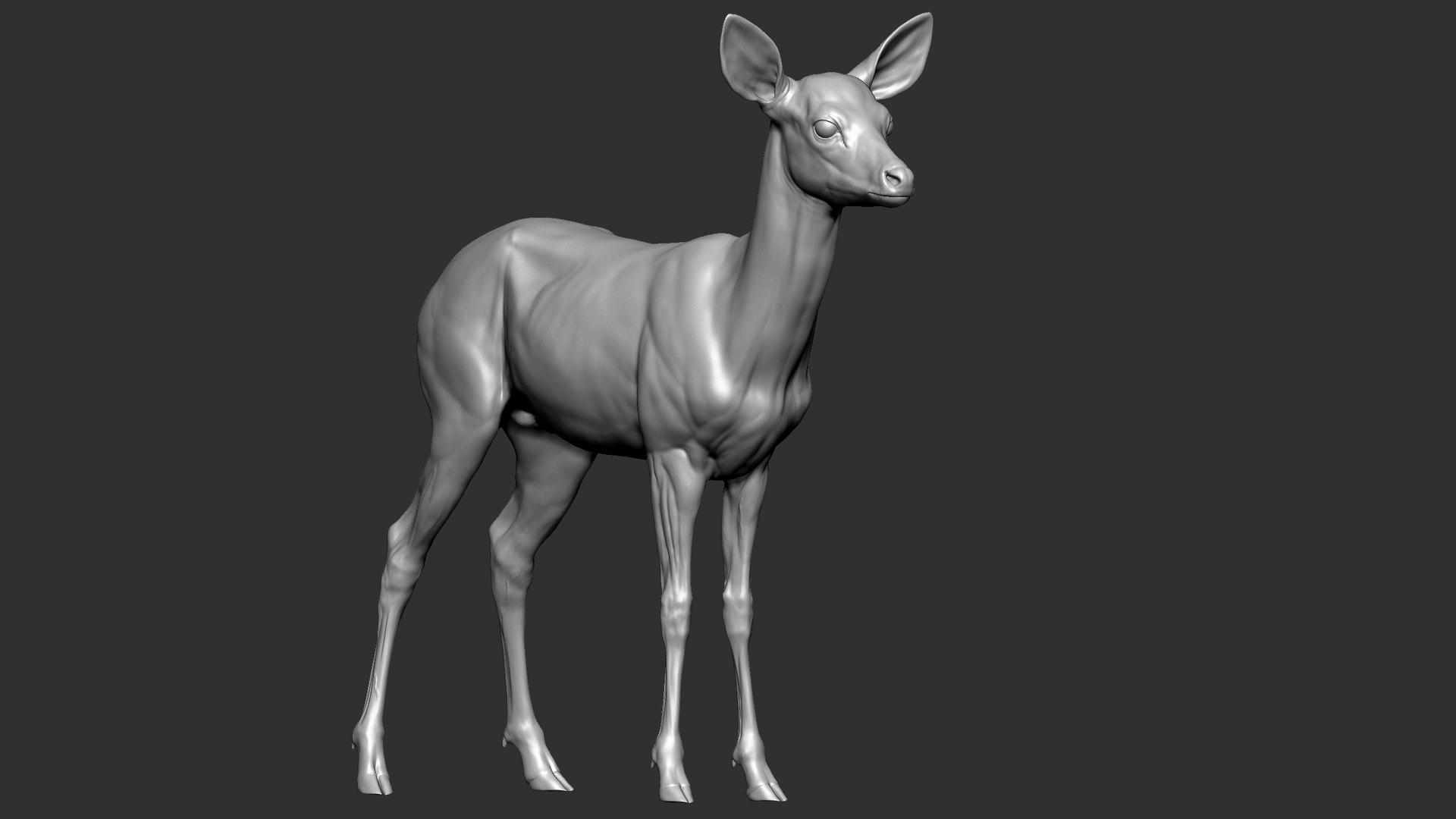 3D Fawn VFX MUSCLE SIMULATION Model - TurboSquid 1886753