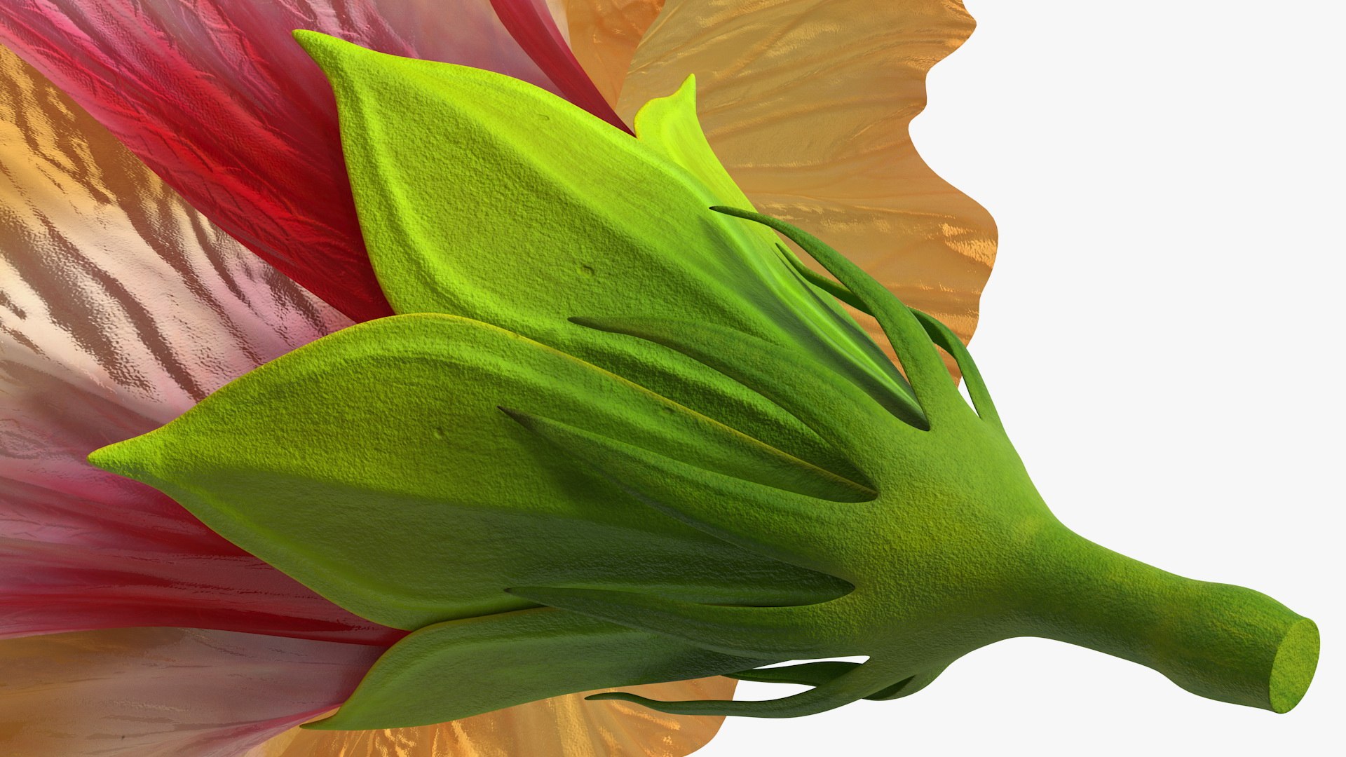 Blooming hibiscus flower orange model - TurboSquid 1647967