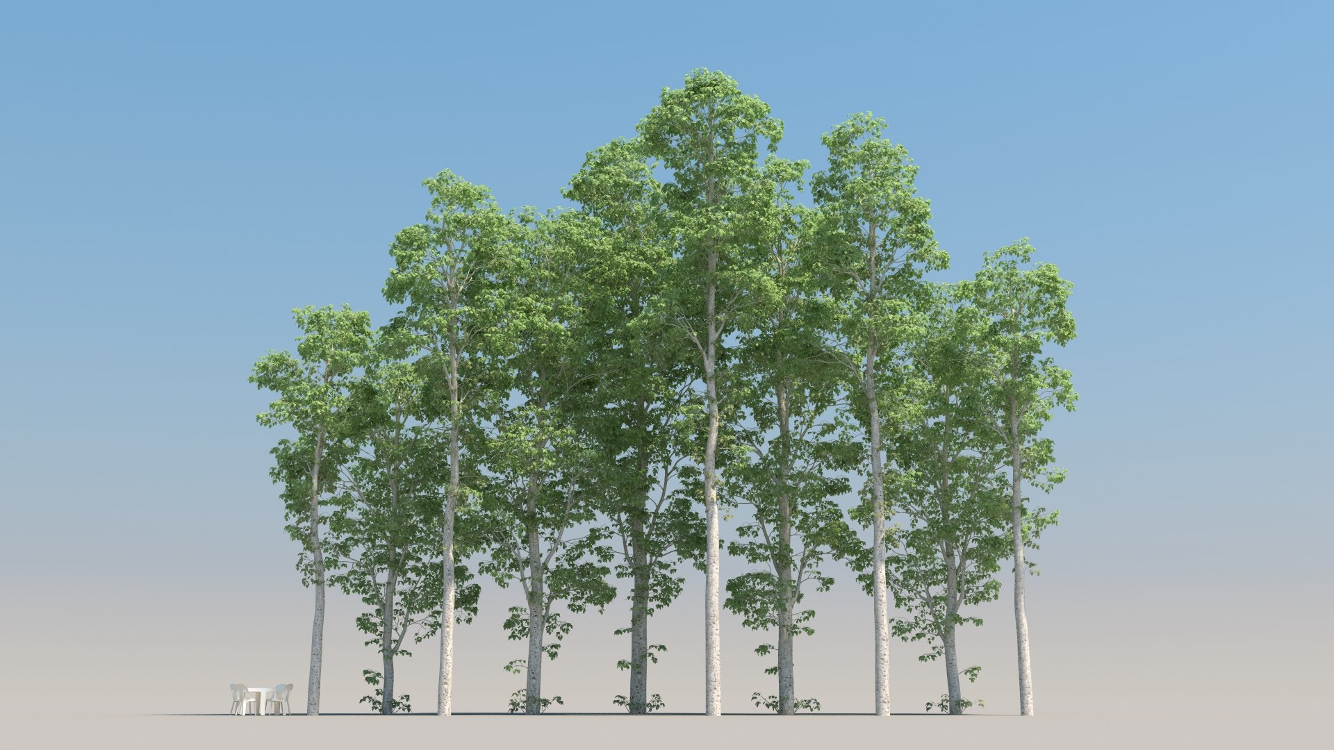 3D Summer Birch Tree - TurboSquid 1687610