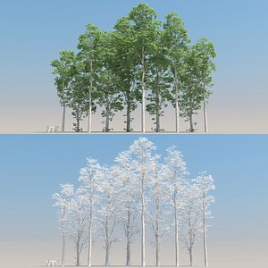 Snow Tree 3D Models for Download | TurboSquid