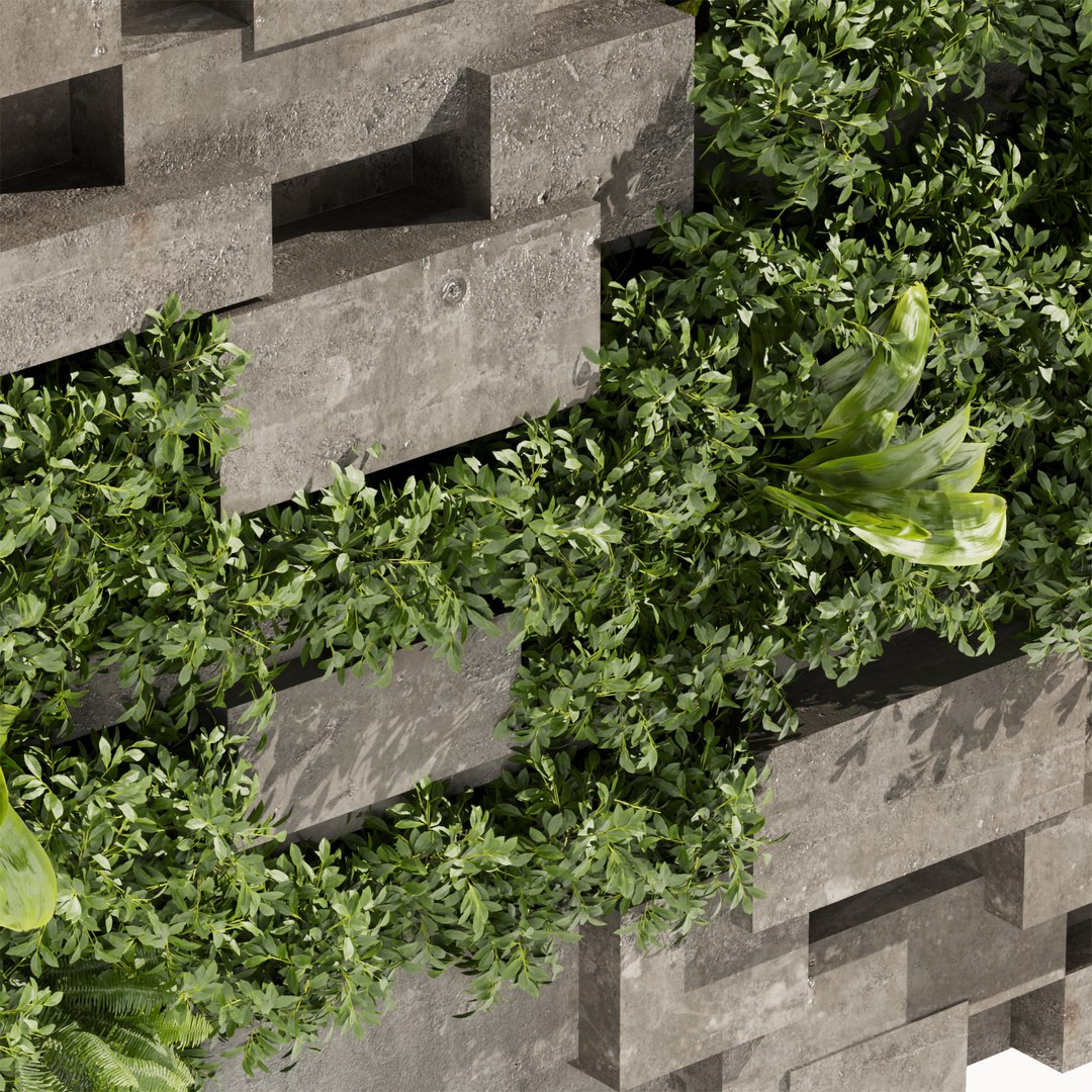 Collection Plant Vol 512 - Fitowall - Concrete - Fern - Bush 3D Model ...