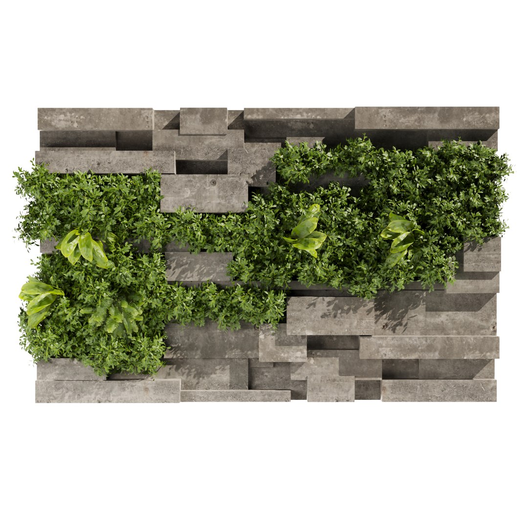 Collection Plant Vol 512 - Fitowall - Concrete - Fern - Bush 3D Model ...
