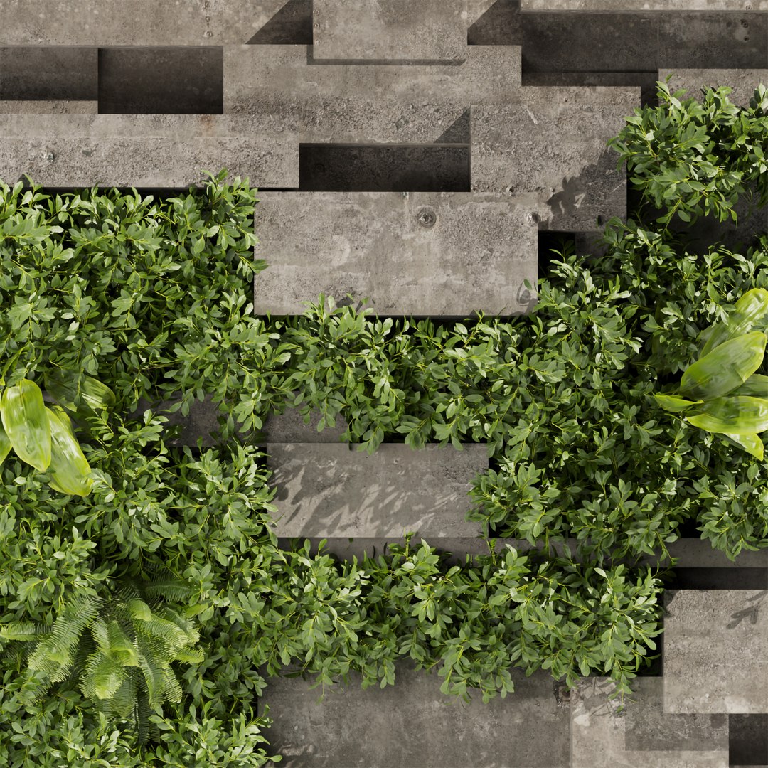 Collection Plant Vol 512 - Fitowall - Concrete - Fern - Bush 3D Model ...