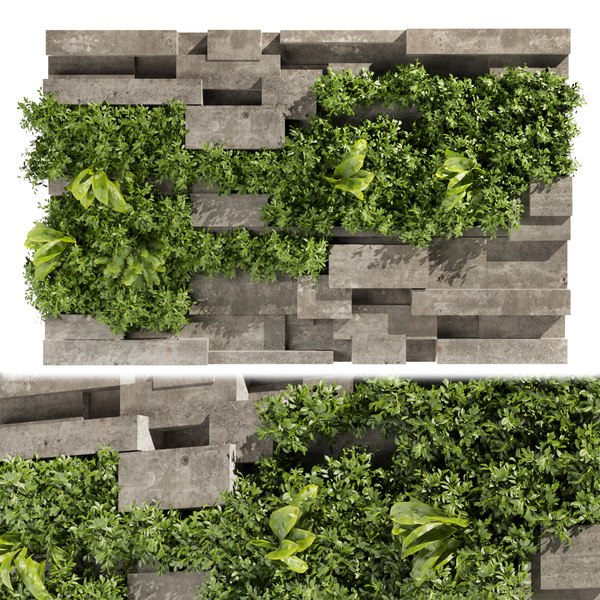 modelo 3d Collection plant vol 512 - fitowall - Concrete - fern - bush ...
