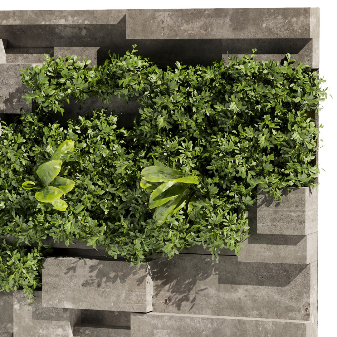 Collection Plant Vol 512 - Fitowall - Concrete - Fern - Bush 3D Model ...