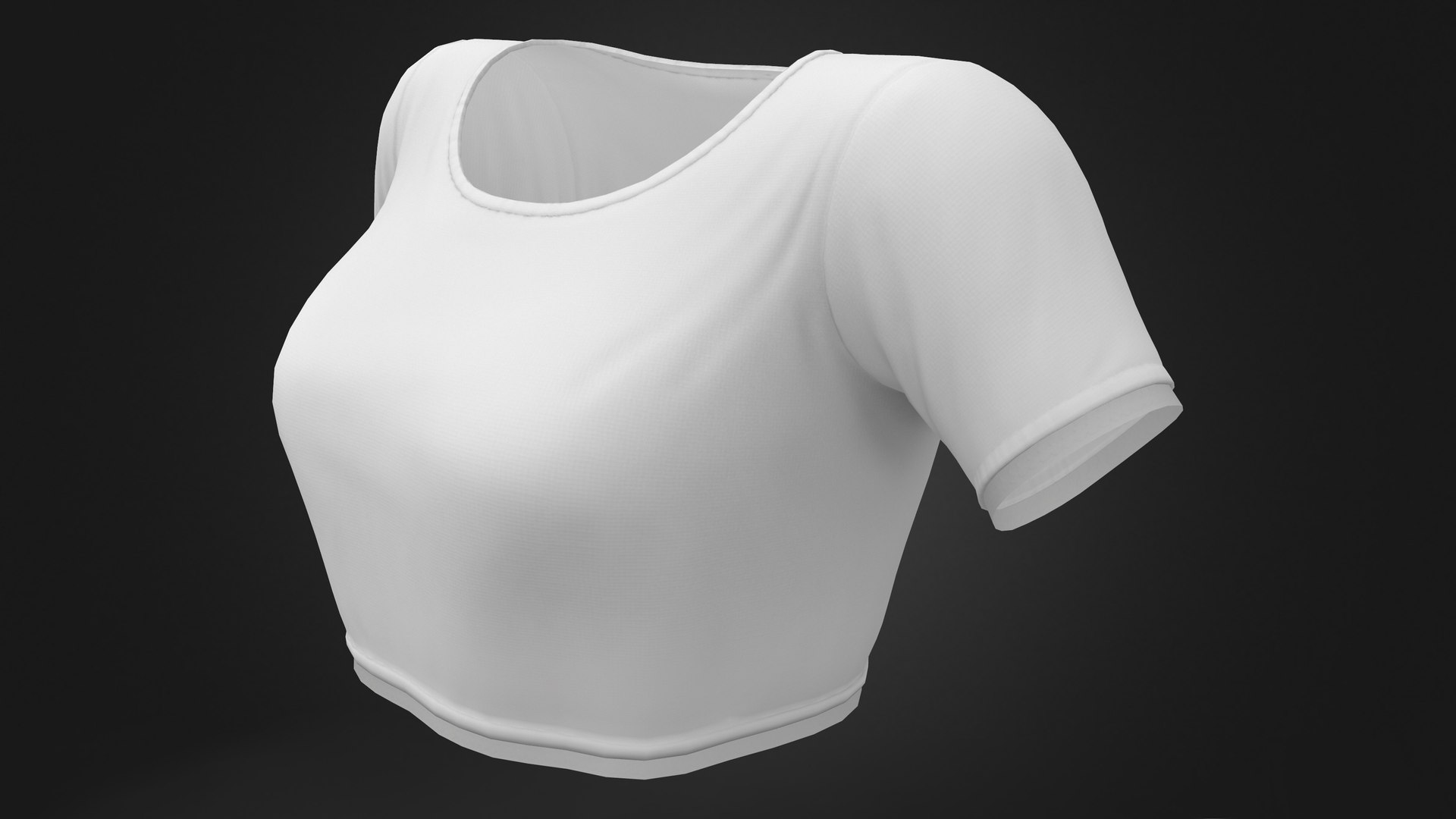 White Loose Embroidery Crop Top 3D Model - TurboSquid 1996271