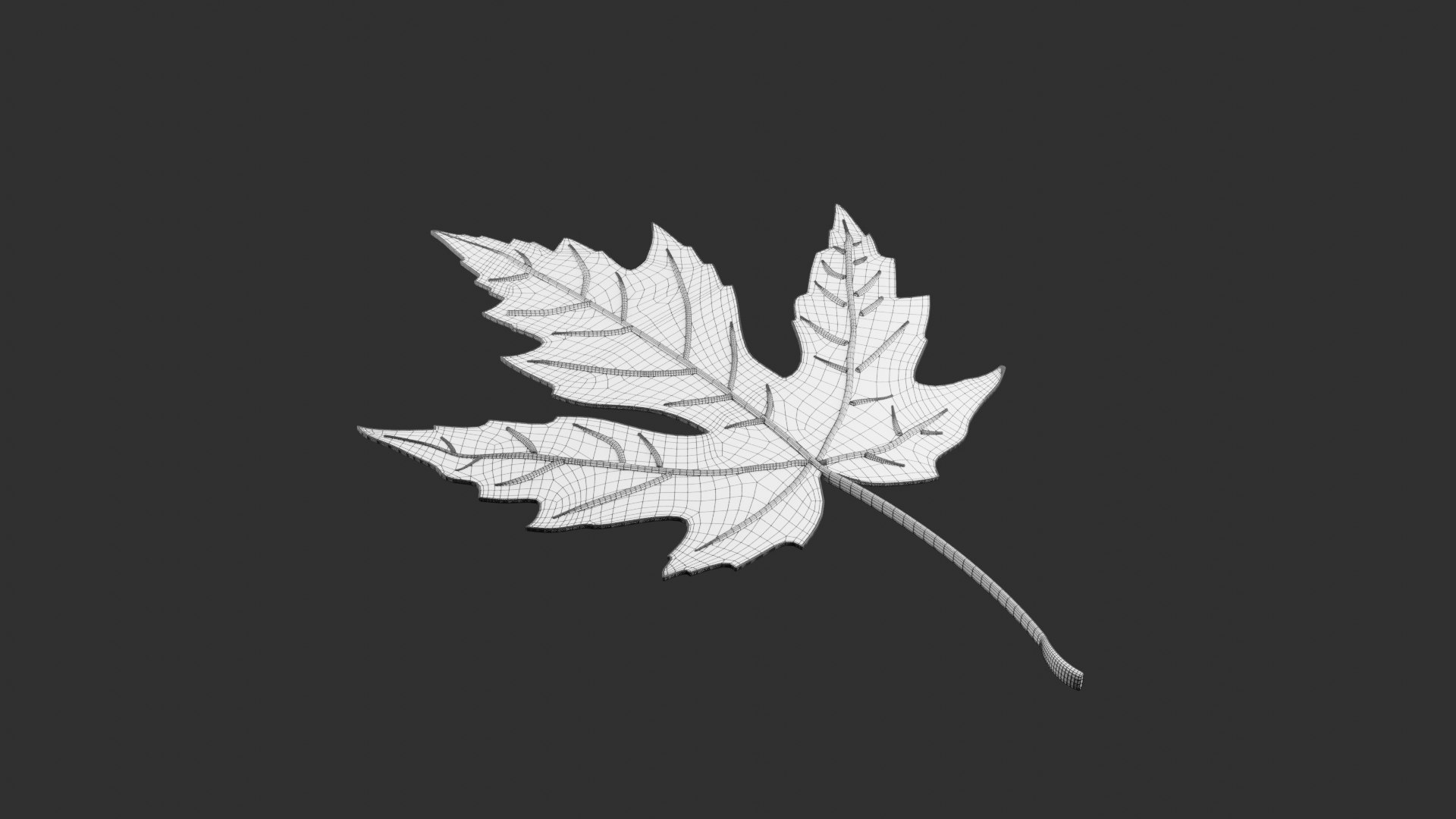 Autumn Leaves Model - TurboSquid 2034935