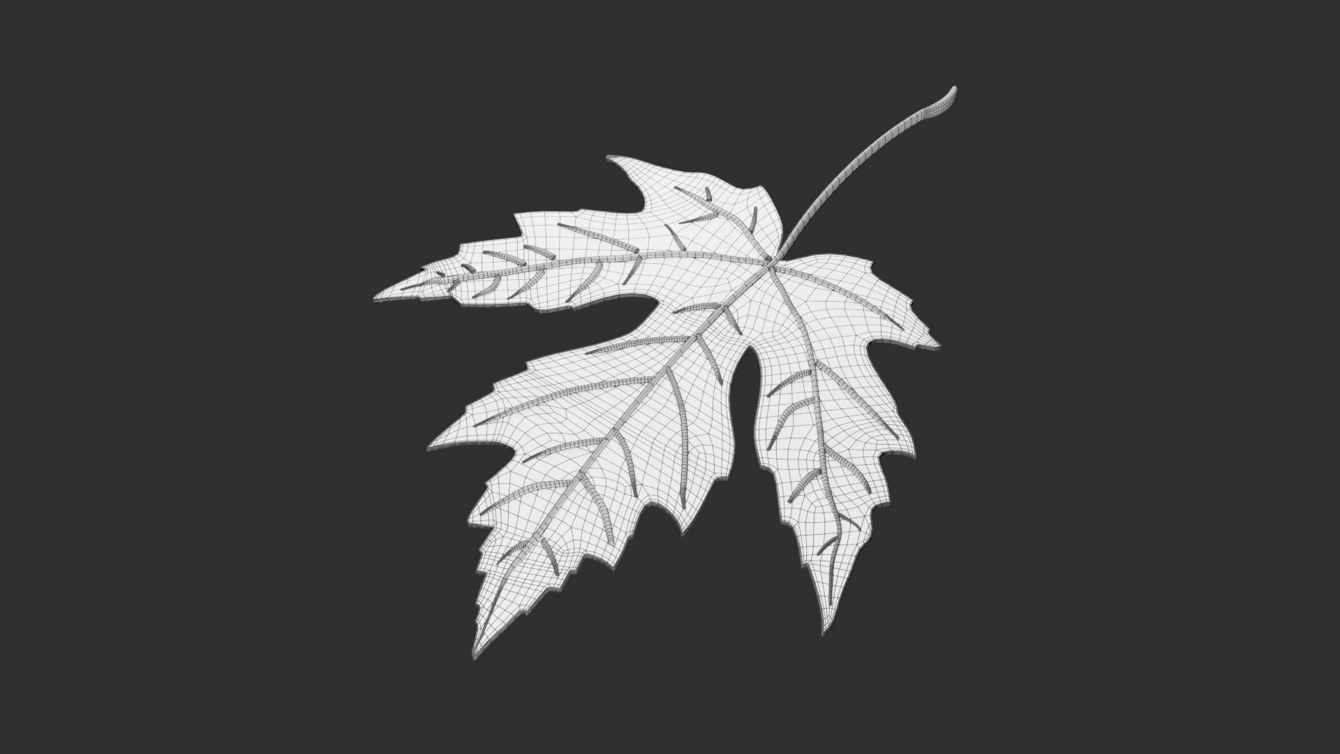 Autumn Leaves Model - TurboSquid 2034935