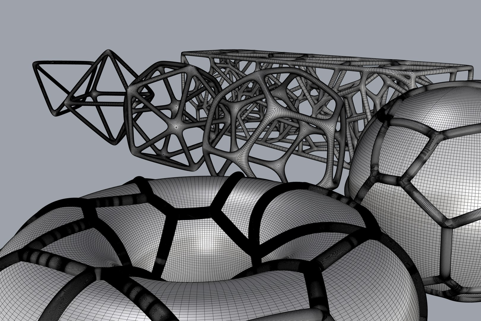 Free 3D Platonic Geometry Voronoi Cages - TurboSquid 1966049