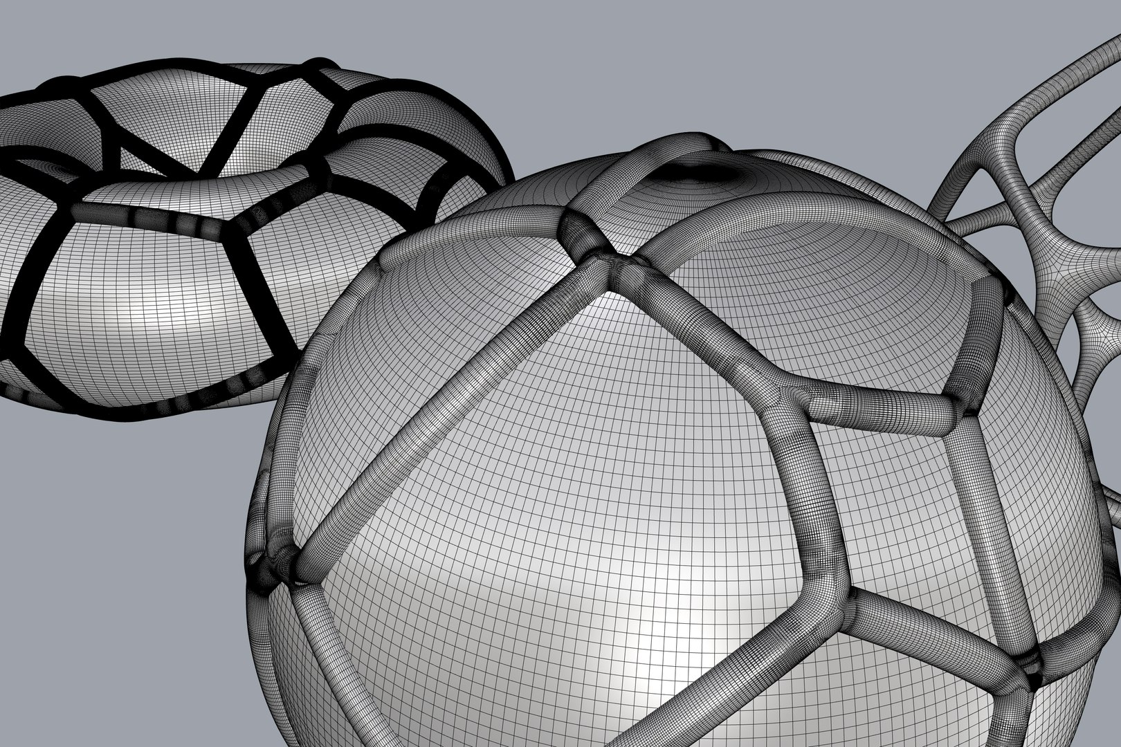 Free 3D Platonic Geometry Voronoi Cages - TurboSquid 1966049