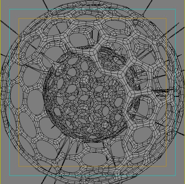 radiolarians 2 3d model