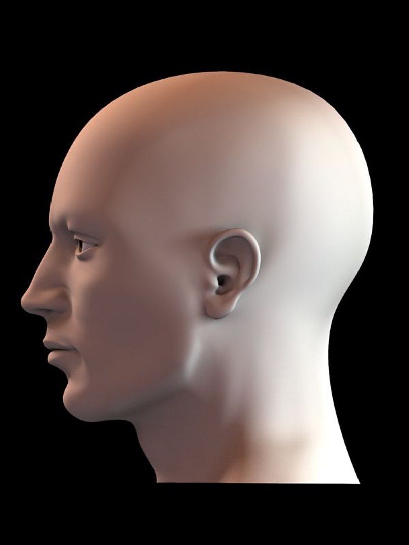 3d Model Generic Head