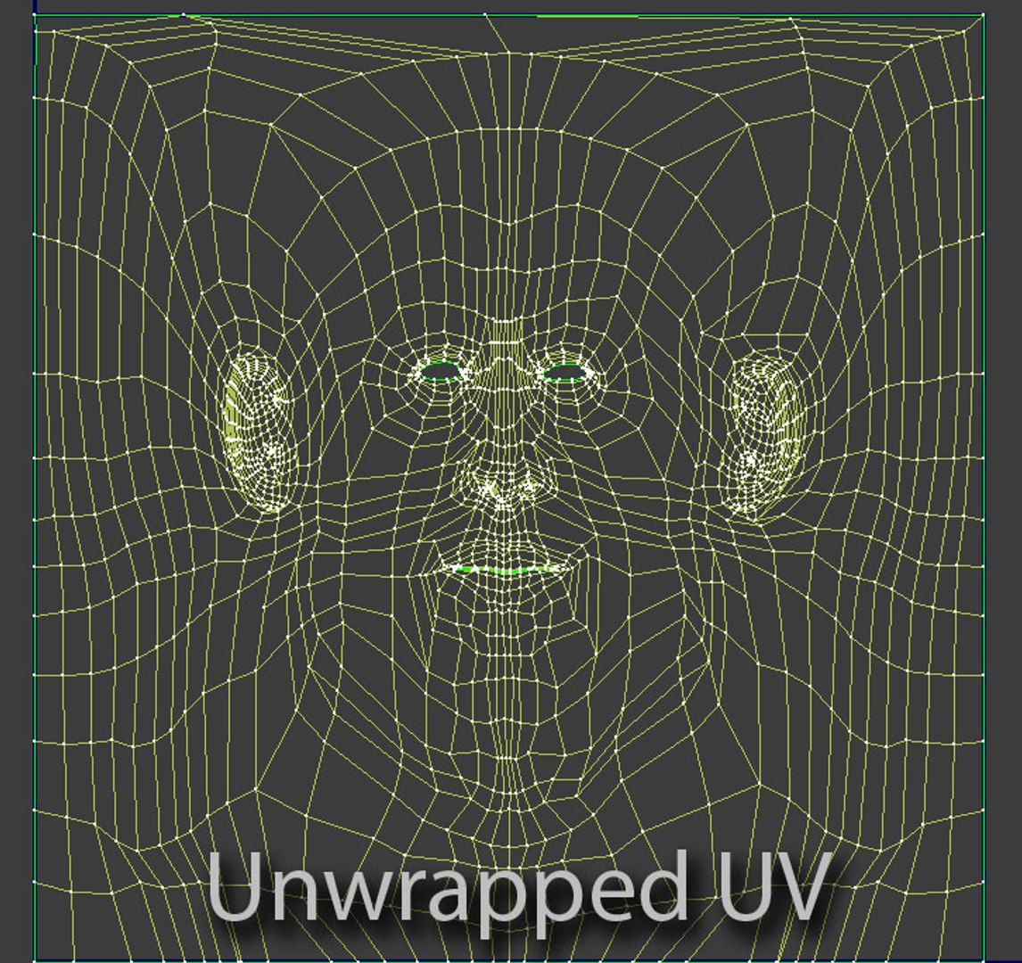 3d Model Generic Head