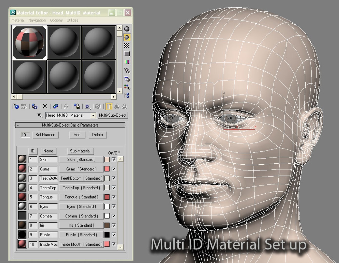 3d Model Generic Head