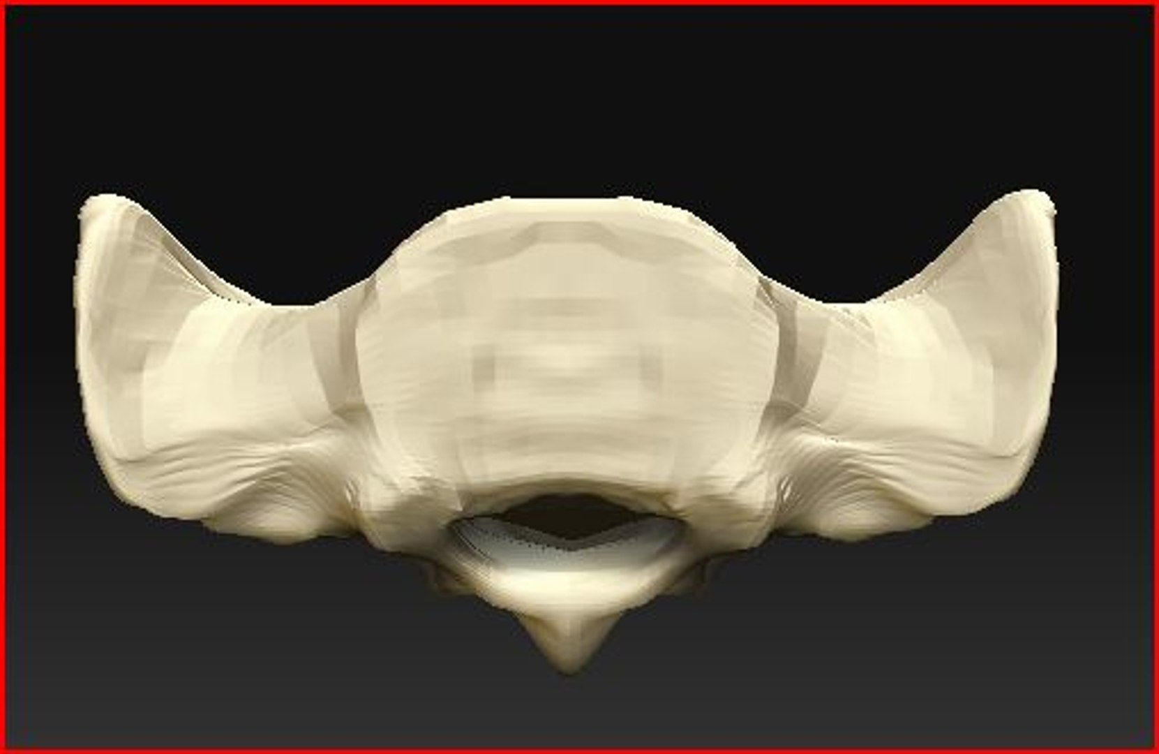3d Model Sacrum
