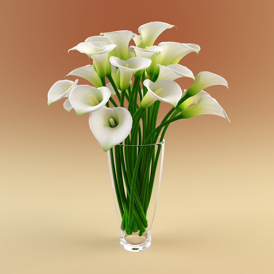 Vase Calla Flowers 3d Model
