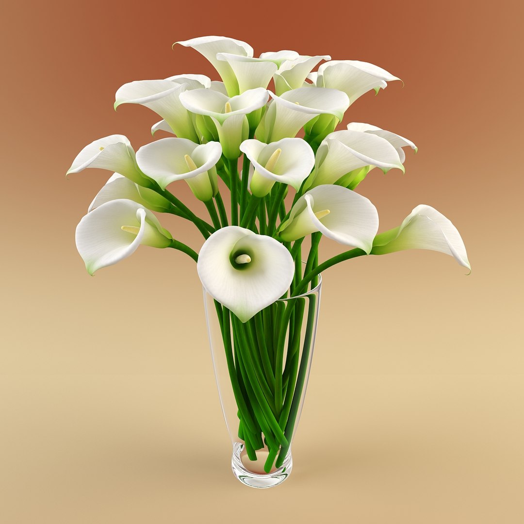 Vase Calla Flowers 3d Model