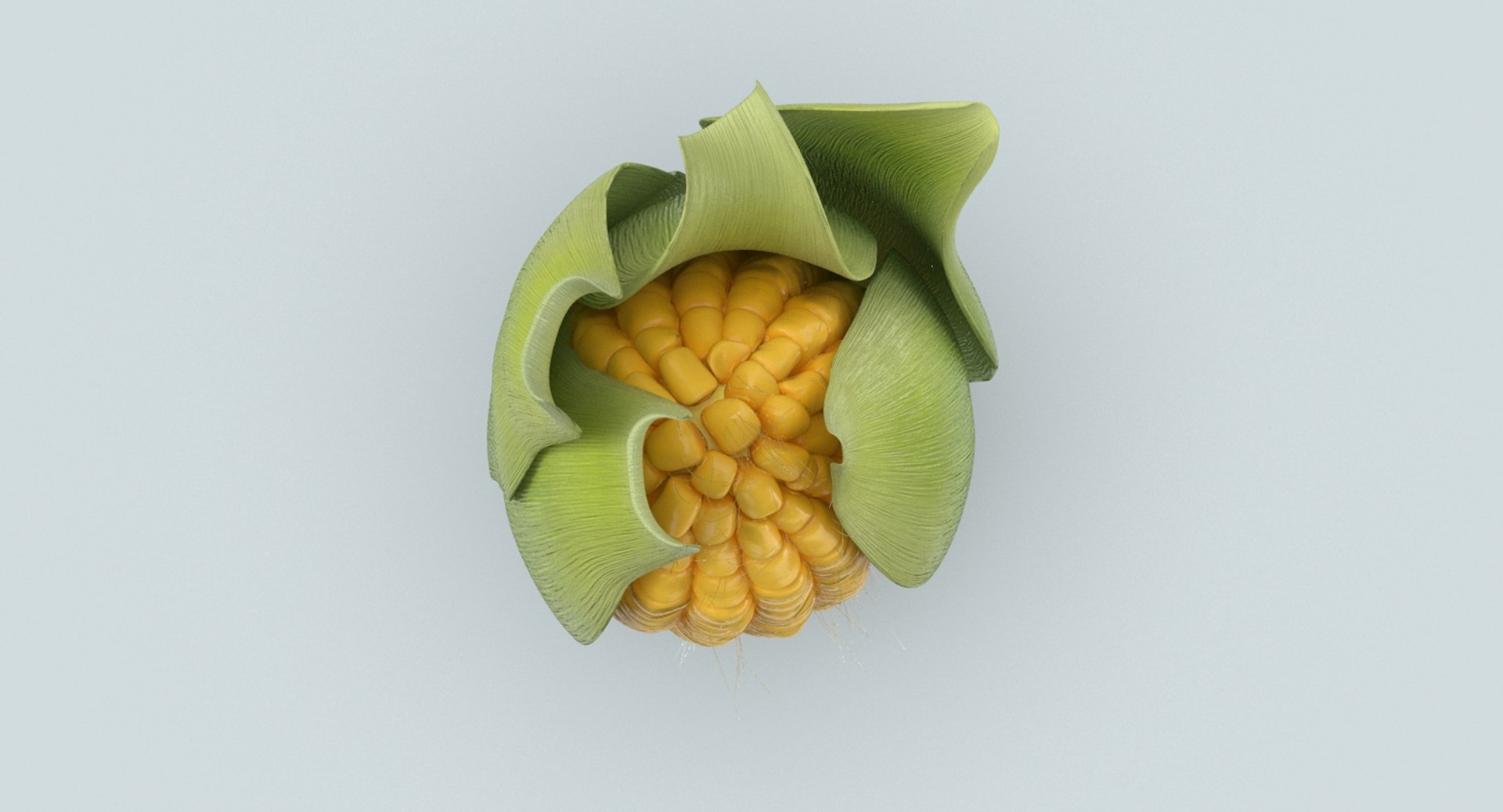 3D Ears-of-corn---01-cv1 - TurboSquid 1338364