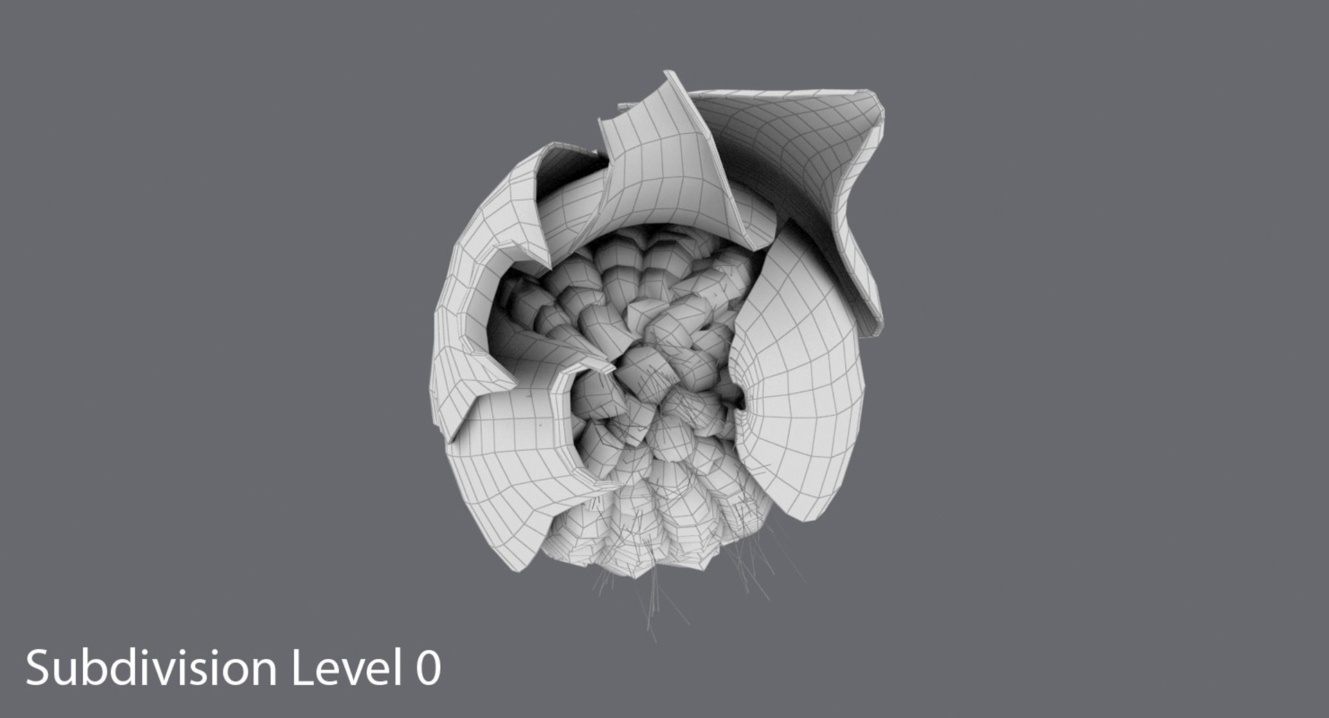 3D Ears-of-corn---01-cv1 - TurboSquid 1338364