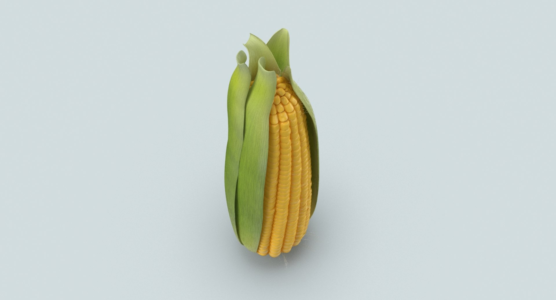 3D Ears-of-corn---01-cv1 - TurboSquid 1338364