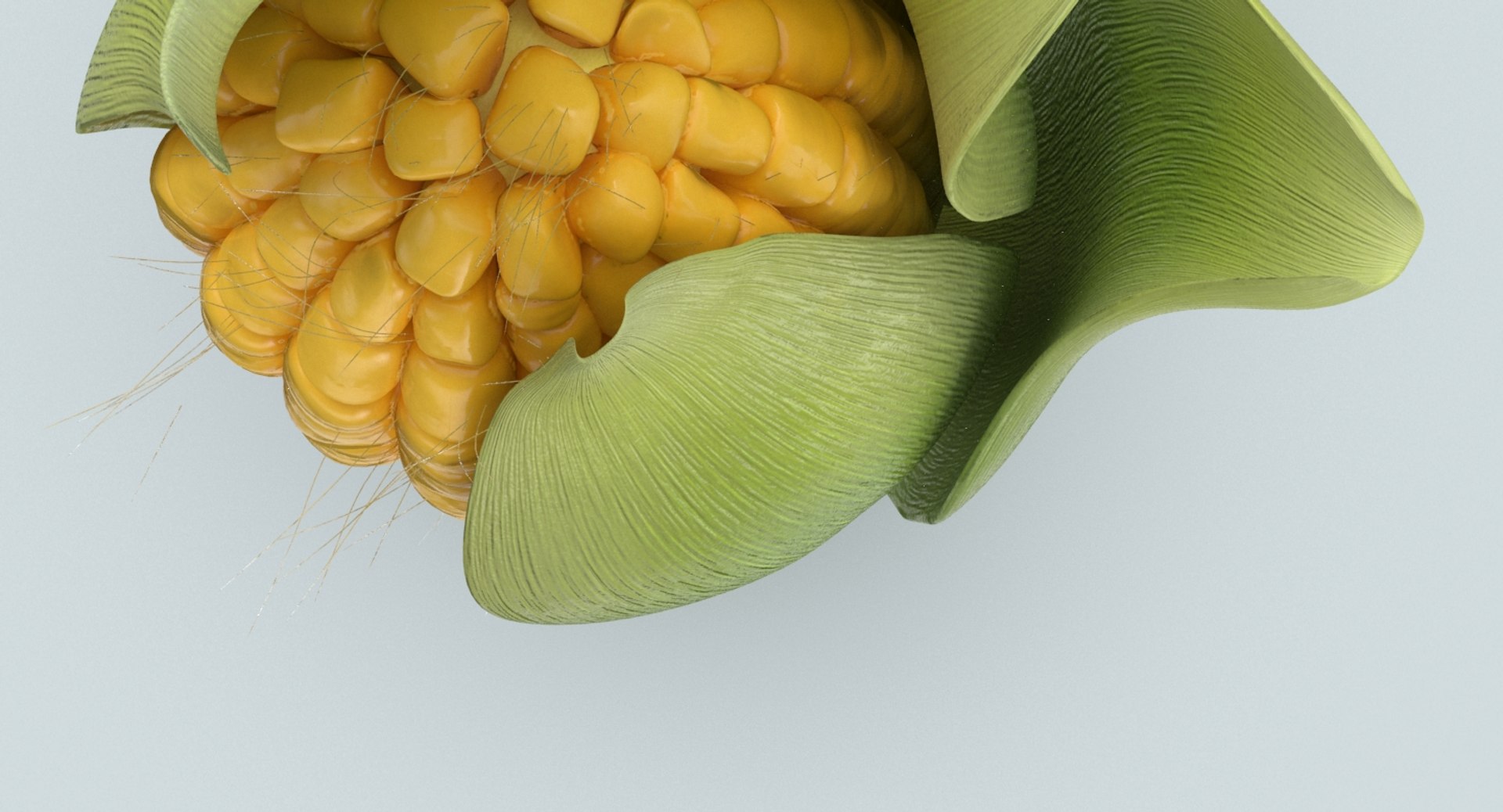 3D Ears-of-corn---01-cv1 - TurboSquid 1338364