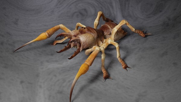 3D solifugae camel spider monster - TurboSquid 1659481