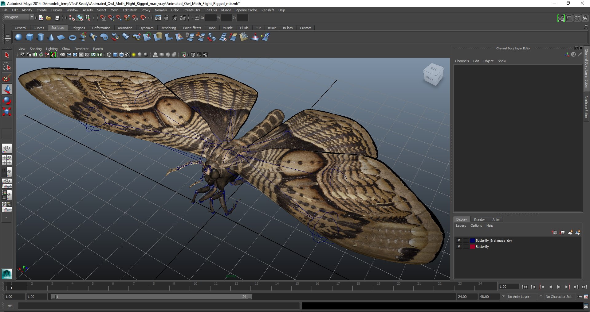 Animated Owl Moth Flight Rigged For Maya 3D Model - TurboSquid 1807878