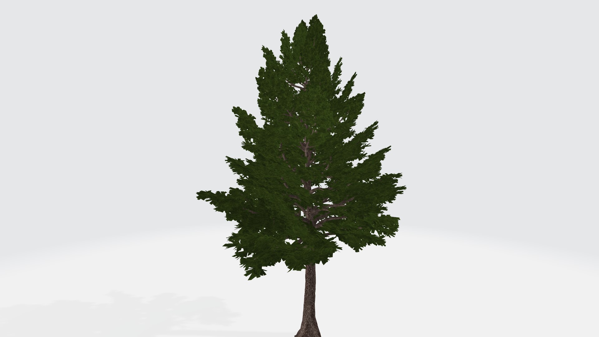 Leaning green tree 3D model - TurboSquid 1956179