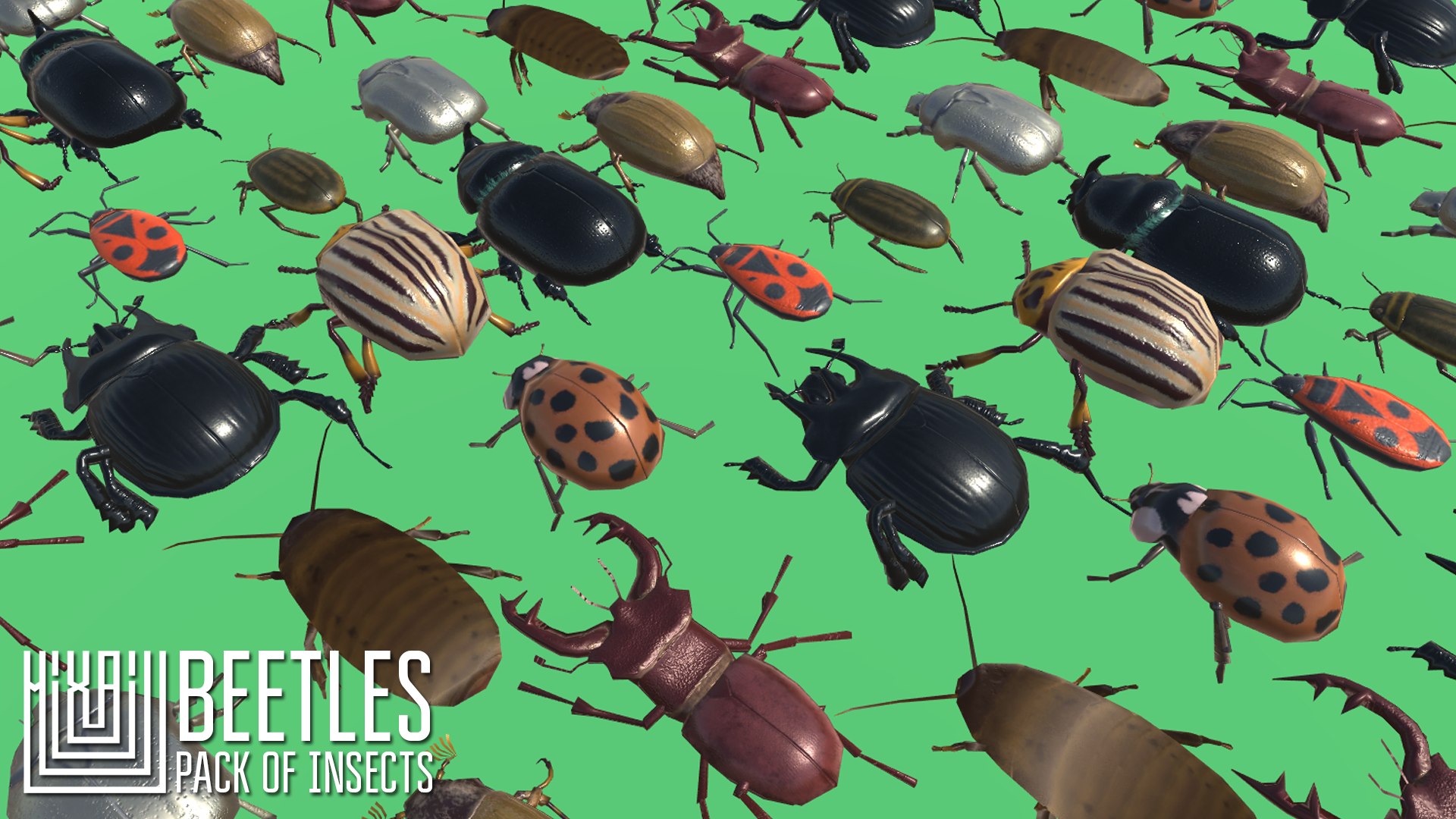 3D Model Vr Beetles - Pack - TurboSquid 1415612