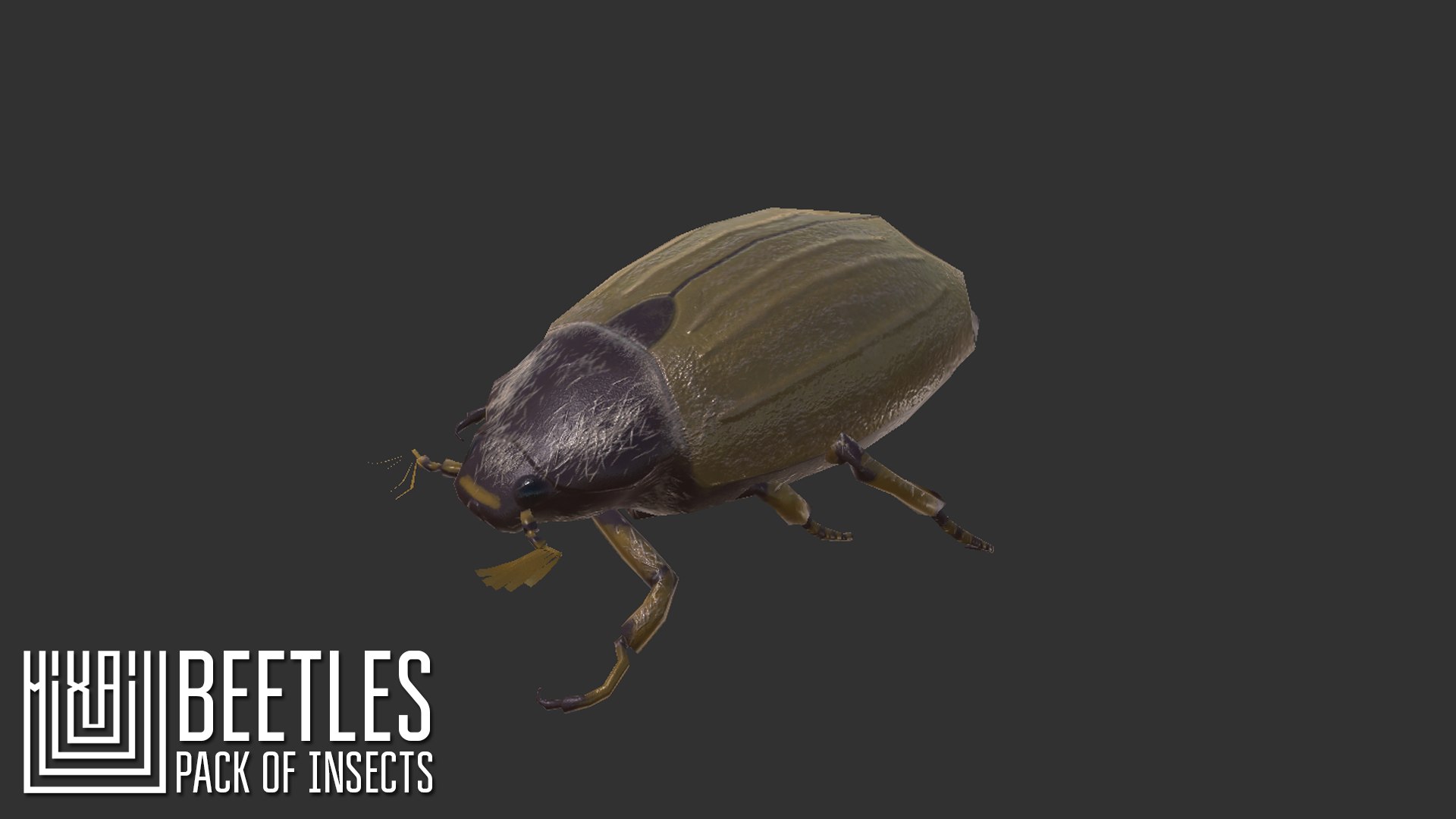 3D Model Vr Beetles - Pack - TurboSquid 1415612