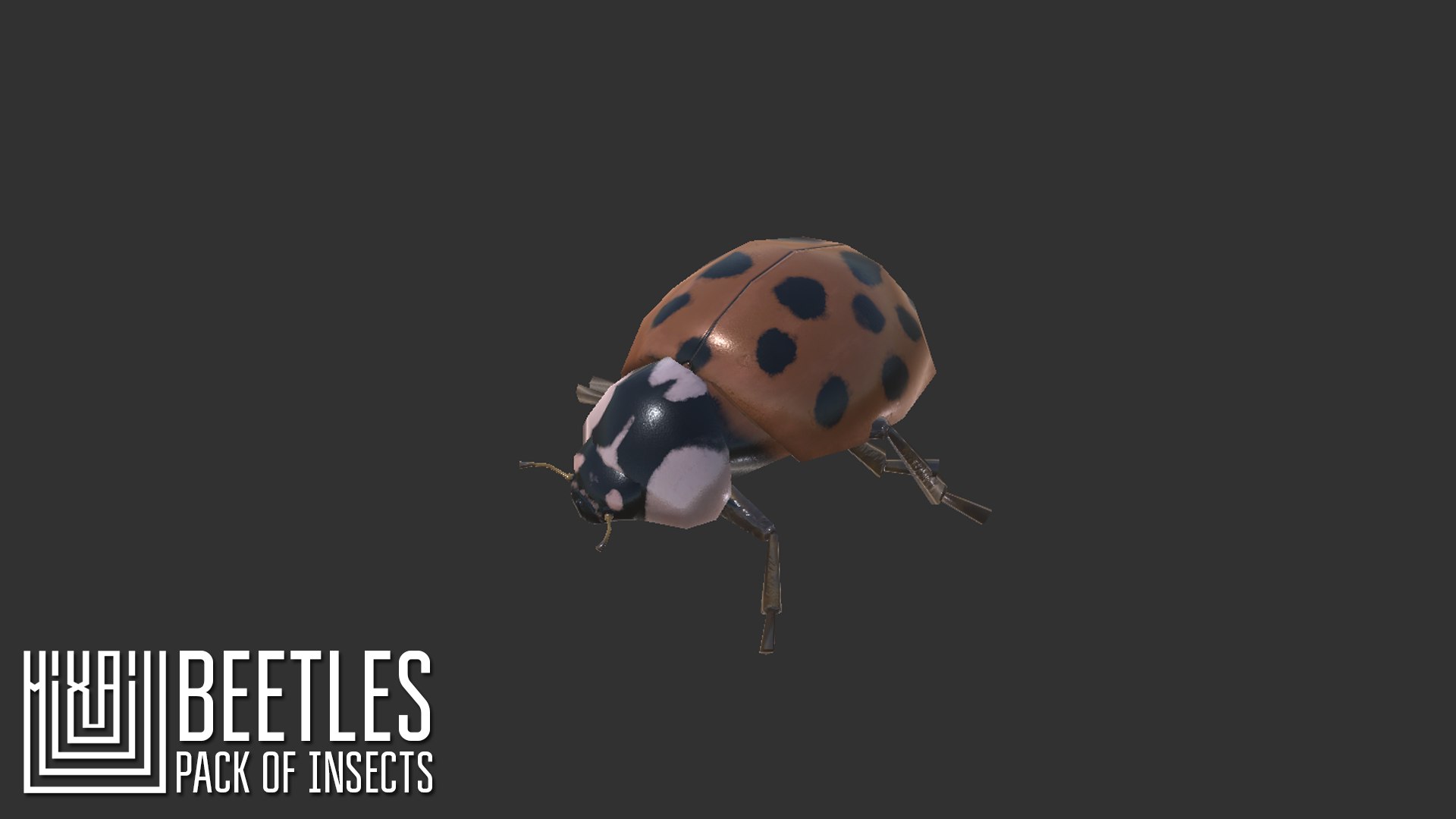 3D Model Vr Beetles - Pack - TurboSquid 1415612