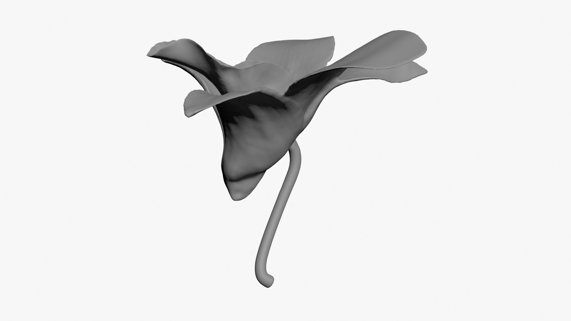 3D Dendrobium Sonia Purple Orchid 3D Print Model - TurboSquid 2280957