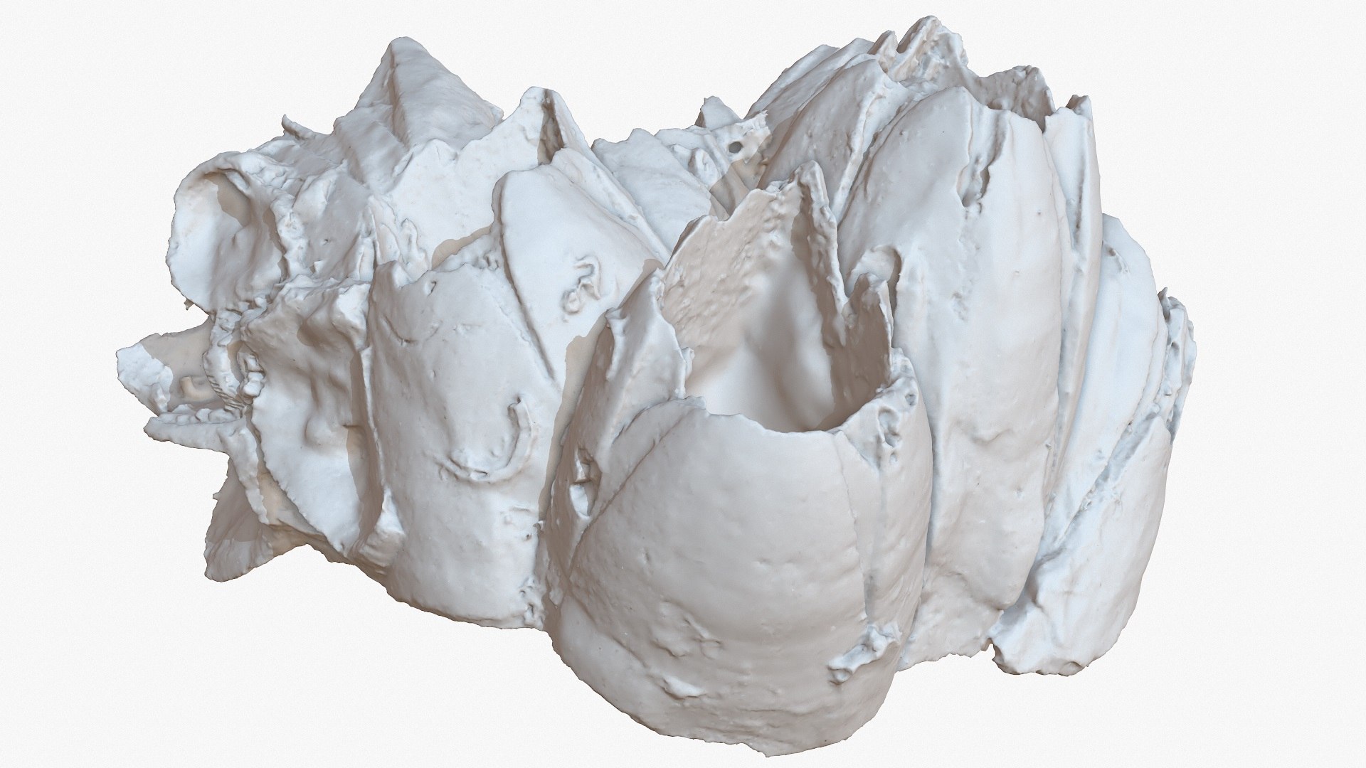 Purple Barnacle 2 Sea Shell 3D Model - TurboSquid 1196685