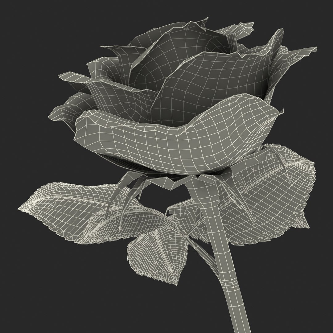 3d Model Rose 3