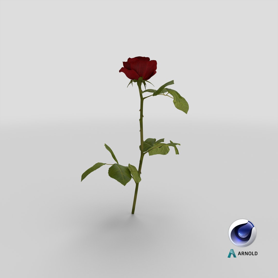 3d Model Rose 3