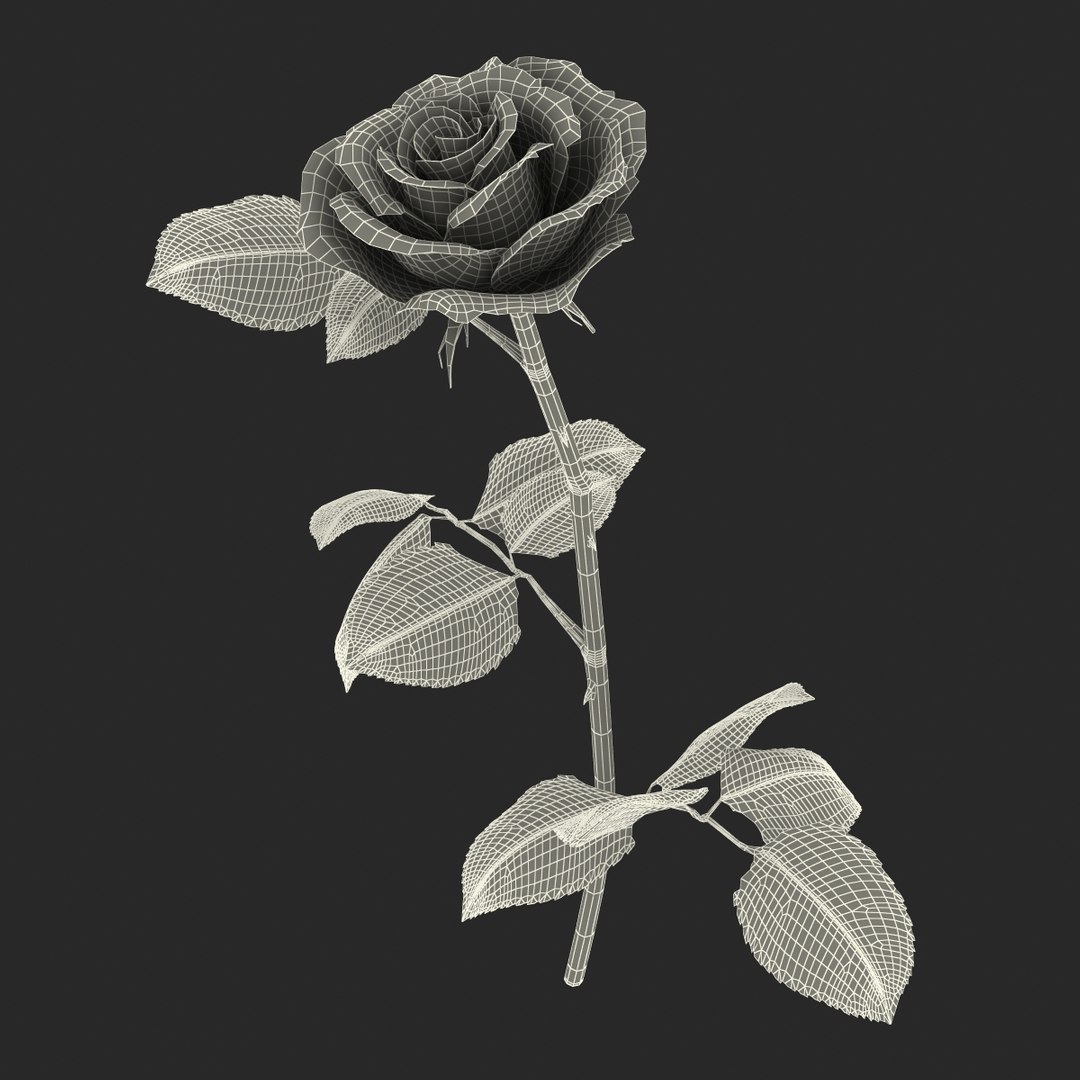 3d Model Rose 3