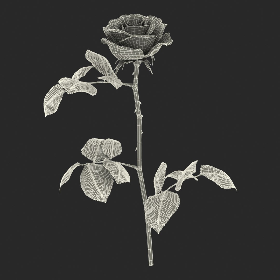 3d Model Rose 3