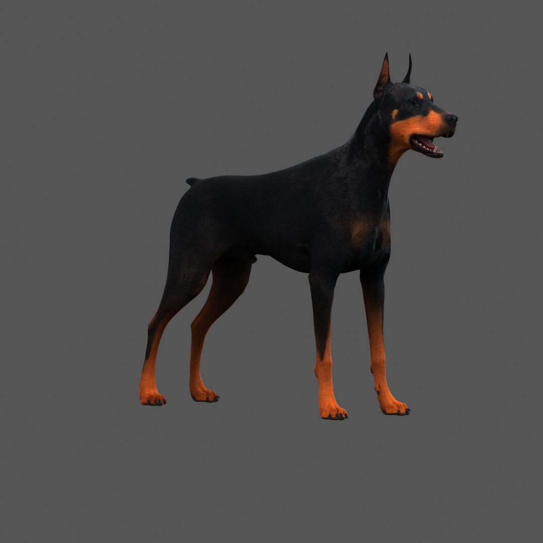 Max Realistic Doberman Fur Hair