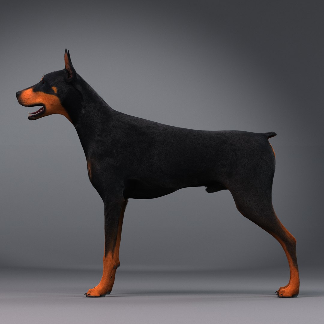Max Realistic Doberman Fur Hair