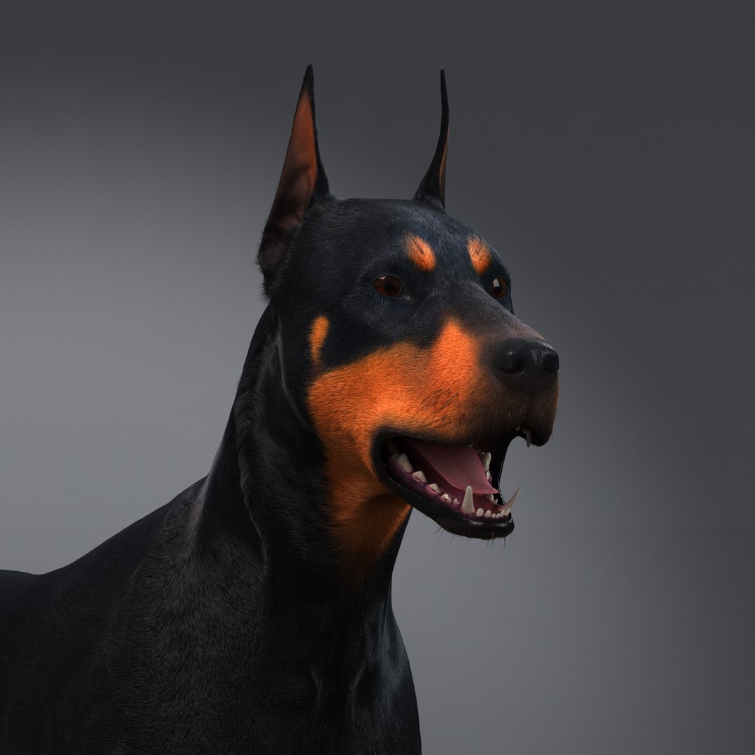 Max Realistic Doberman Fur Hair