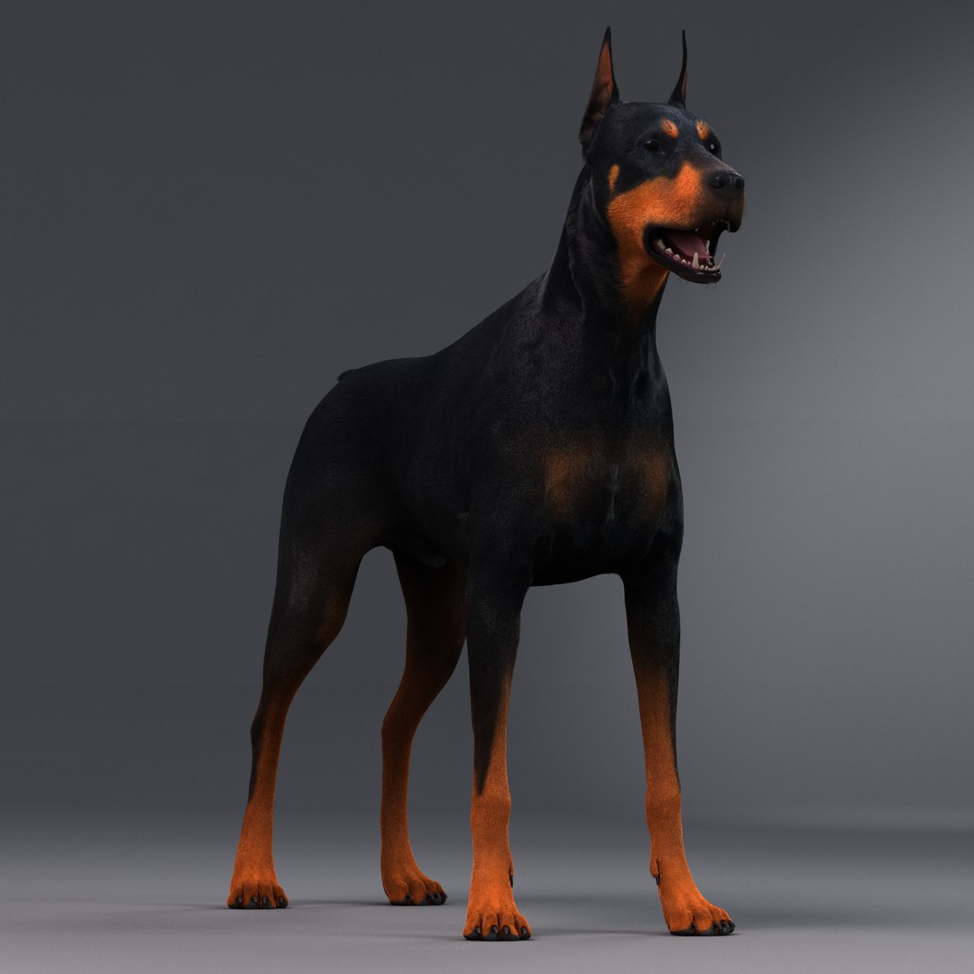 Max Realistic Doberman Fur Hair