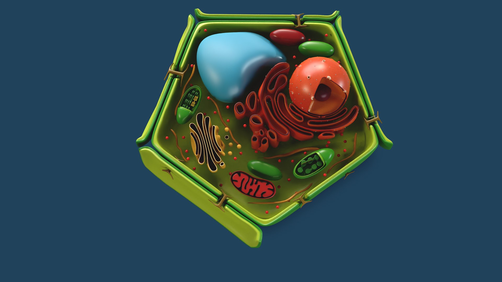 3D Plant Cell - TurboSquid 2248996