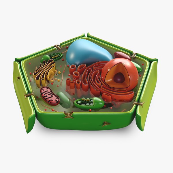 Cell 3D Models for Download | TurboSquid
