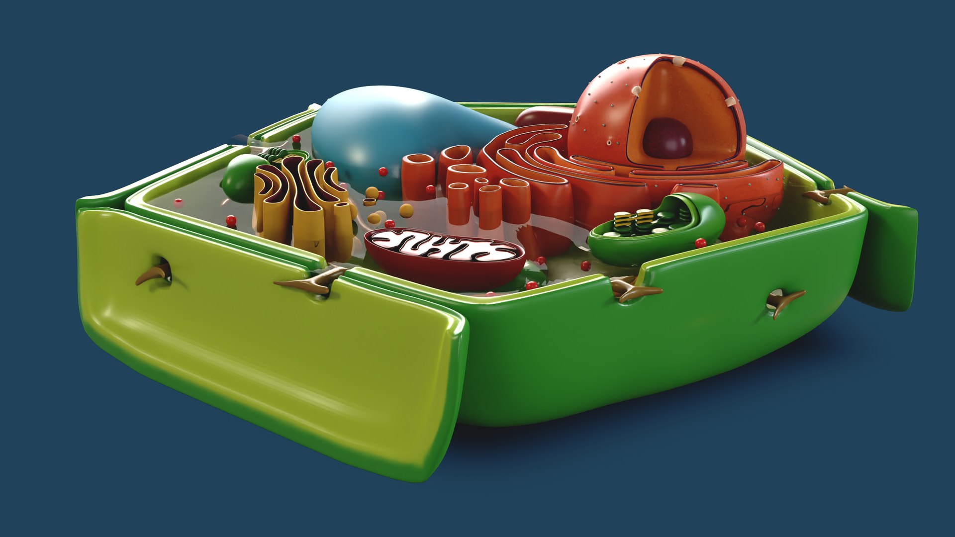 3D Plant Cell - TurboSquid 2248996